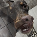 Quiz: SegundoParcialde8a (formación de personal)