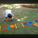 Quiz: Quiz de Bucles: For y While