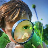 Matching Pairs: Unit 1