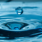 Matching Pairs: Environment & animal needs (Transición - Preescolar ...