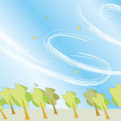 Matching Pairs: Environment & animal needs (Transición - Preescolar ...