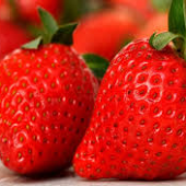 Matching Pairs: Fruits and vegetables (1º - Bachillerato - fruits and ...