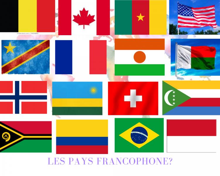 Drapeaux Des Pays Francophones L'importance Des Langues Etrangeres 1.