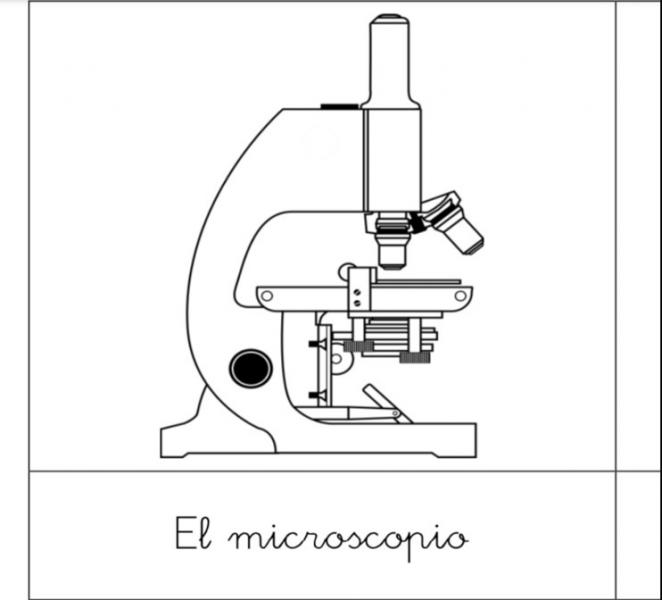 Print Map Quiz Partes Del Microscopio Microscopio Partes