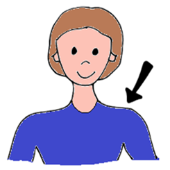 Matching Pairs: die Körperteile (the Body Parts) (language - german ...