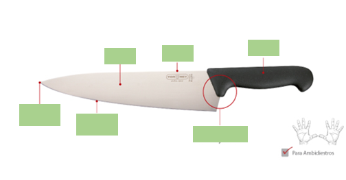 Map Quiz: Partes del Cuchillo de cocina (cocina - cuchillos - parte de ...