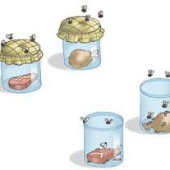 Matching Pairs: Origen de los Seres Vivos (biología - 2º - Bachillerato ...