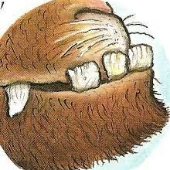 Print Matching Pairs: Gruffalo parts of the body (language - 1º ...