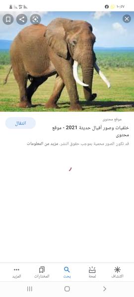 Alphabet: Animals name (language - google - audio test - history)