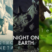 Matching Pairs: TV PROGRAMS GENRES (Foreign Language - 3º - Educación ...