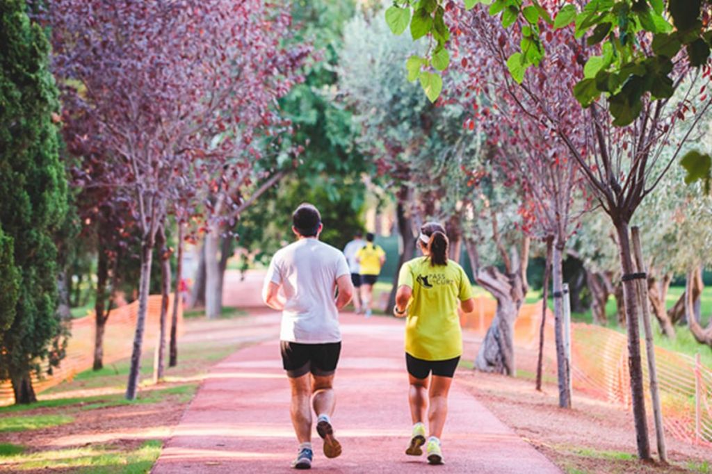 Froggy Jumps Costumbres Familiares Y Tradiciones Sociologia 2º