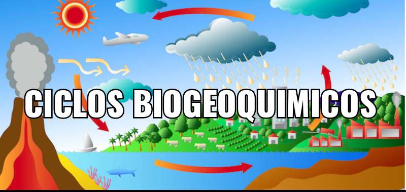 Print Froggy Jumps: Ciclos Biogeoquimicos. (ciencias naturales - ciclo ...