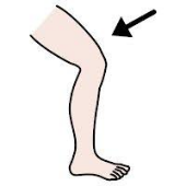 Print Memory Game: Memorama: EL Cuerpo Humano (lengua - 3º - Educación ...