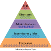Matching Pairs: Estructura Organizacional (nivel de autoridad ...