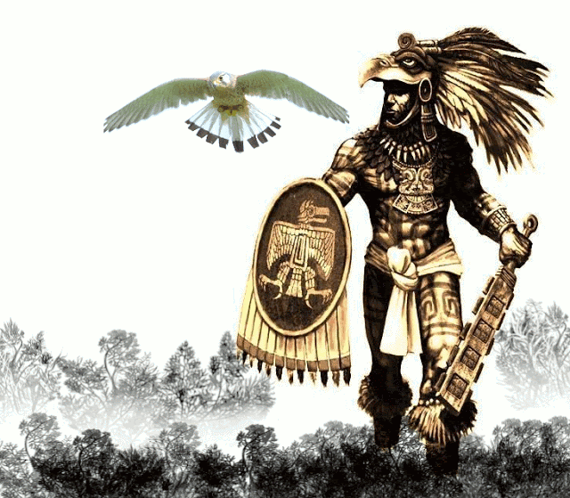 Froggy Jumps: Salta con "Muuch" y cruza el mar del apasionante mundo de ...