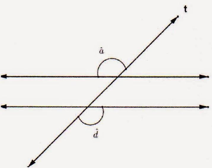 Print Crossword Puzzle: ángulos entre paralelas (Matemáticas - 1º ...