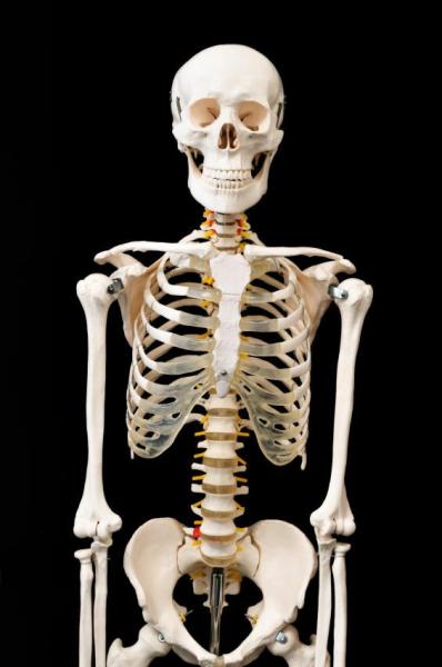 Print Crossword Puzzle: Tabla Periódica (3º - Bachillerato - quimica general - tabla periodica 3º)