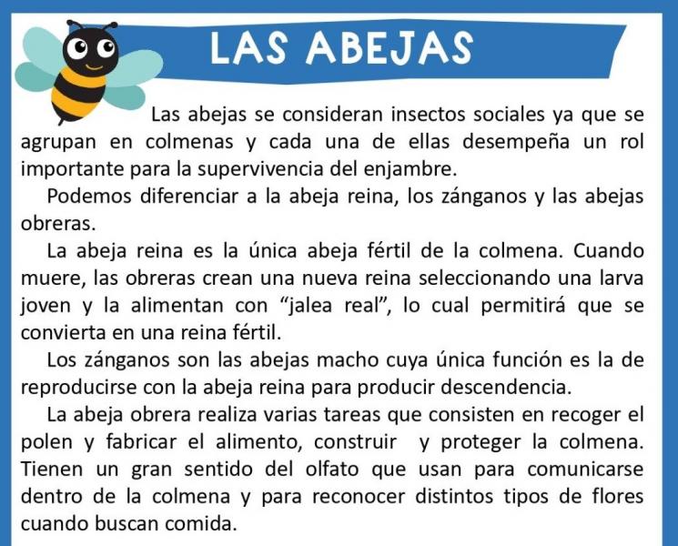 Print Quiz: Conoce a las abejas (lengua - 1º - Educación secundaria ...