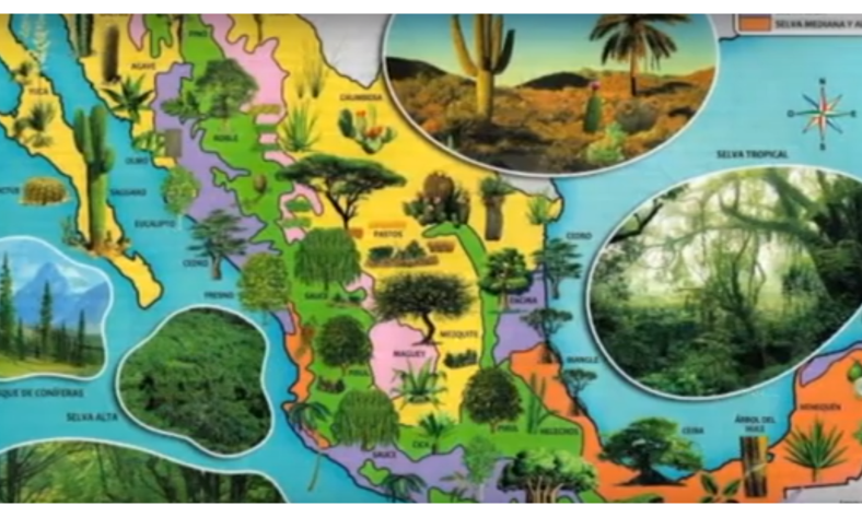 Print Quiz: Geografía de México: Las regiones naturales de nuestro país ...