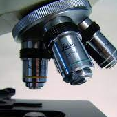 Matching Pairs: Las partes del microscopio (biología - ciencia - ciencias)