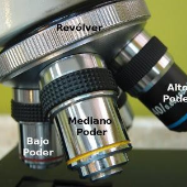 Matching Pairs: Las partes del microscopio (biología - ciencia - ciencias)