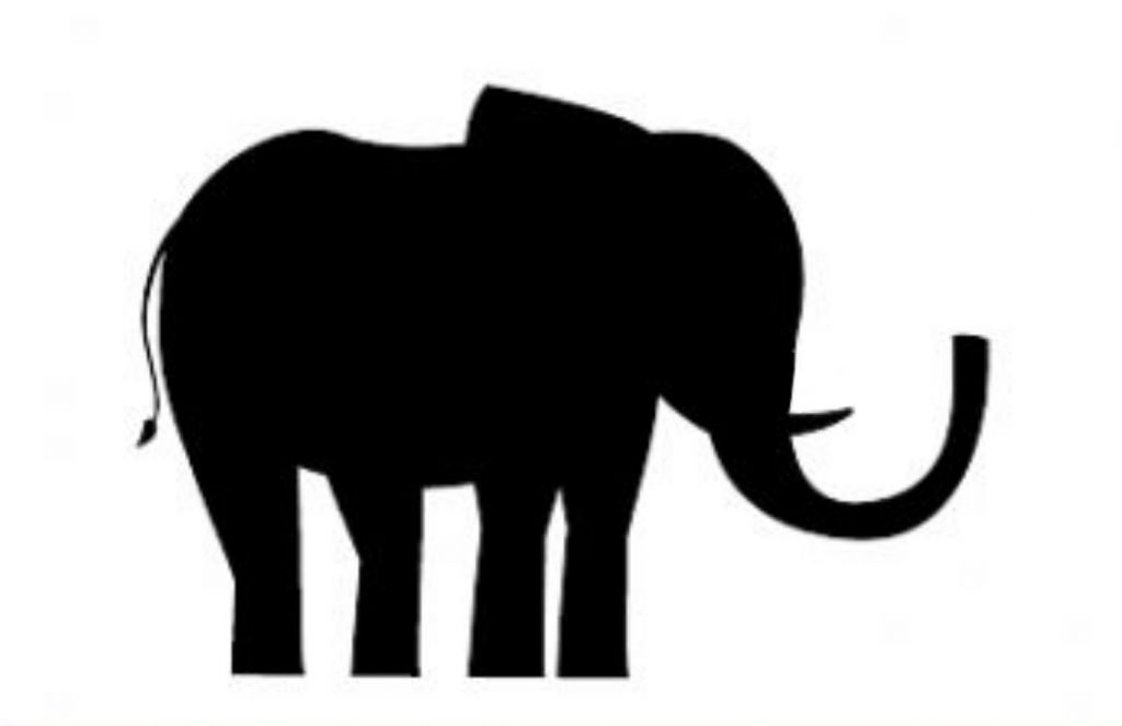 Froggy Jumps: ¿Cuál es la sombra correcta? (biología - sala de 5 años - educación inicial ...