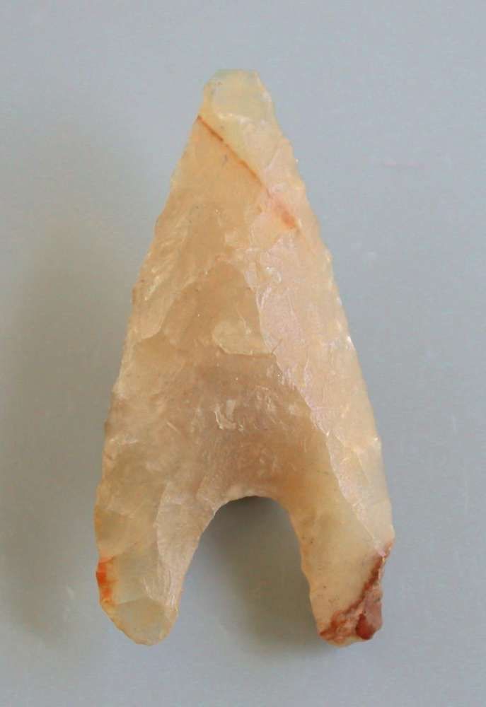 Unscramble Words: Repaso para alumnos de 6 B Semana 5 Profe Freddy ...