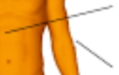 Print Froggy Jumps: human body parts (aprender - educa - encerrar)