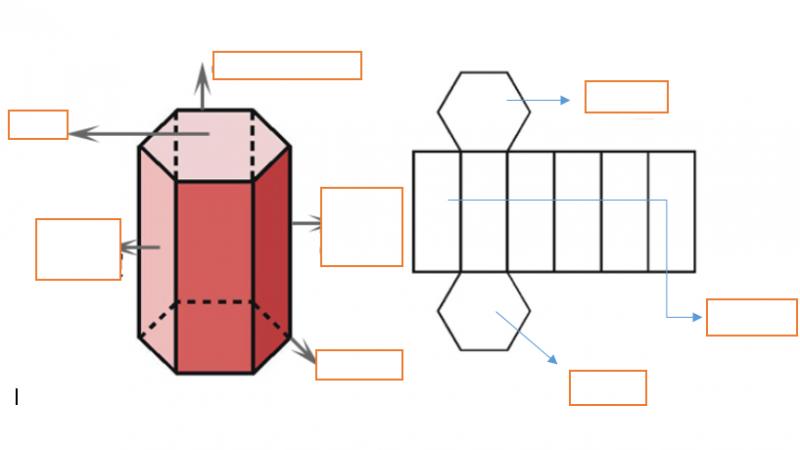 Map Quiz: Partes de UN poliedro (Matemáticas - Octavo grado - Educación ...