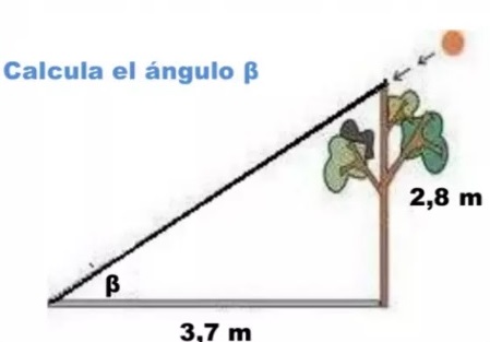 Print Quiz: Razones trigonométricas (Matemáticas - 10º - Secundaria ...