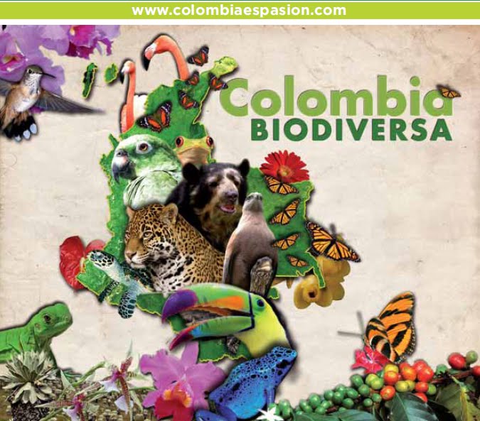 Quiz: La Biodiversidad Colombiana (geografía - 6º - Secundaria ...