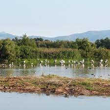 Print Memory Game: Memorama de Ecosistemas ()