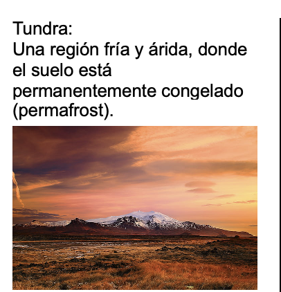 Memory: Memorama de Ecosistemas