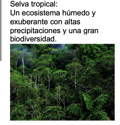 Memory: Memorama de Ecosistemas