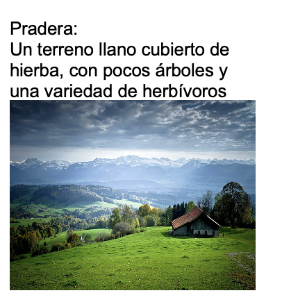 Memory: Memorama de Ecosistemas