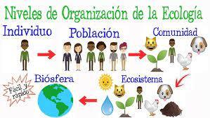 Memory: Memorama de Ecosistemas (D)