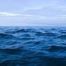 Memory: Memorama de Ecosistemas Acuáticos