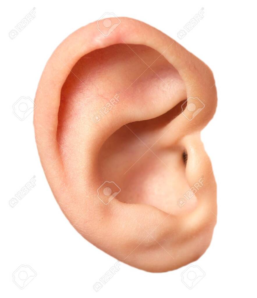 Print Memory Game: Memorama del Cuerpo Humano (biología - Sala de 5 ...