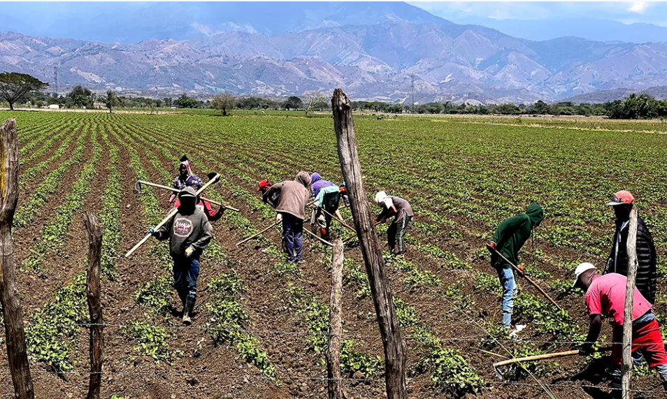 Map Quiz: Límites y Relieve de la República Dominicana (relieve)