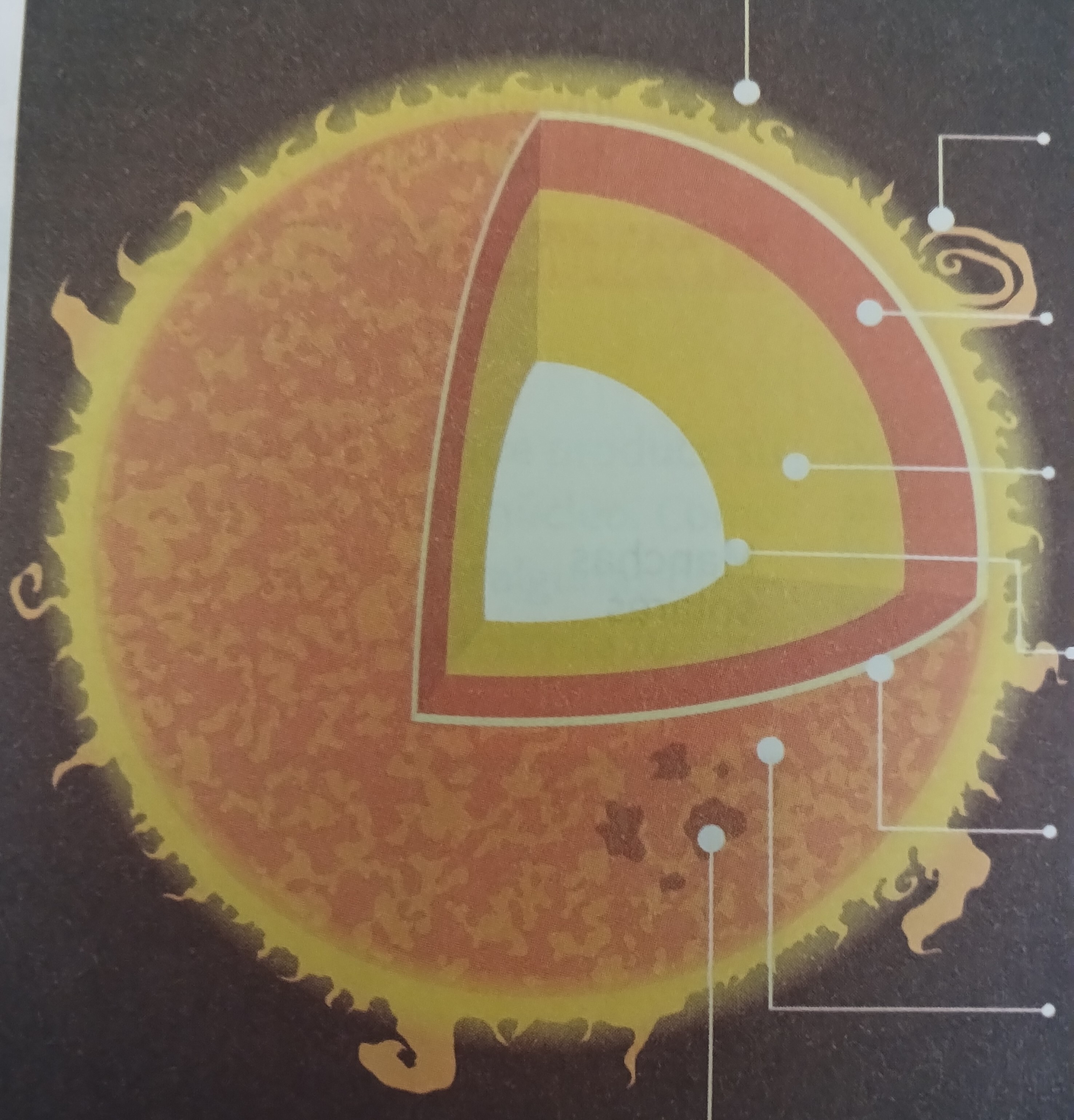 Print Map Quiz: Partes del sol ()