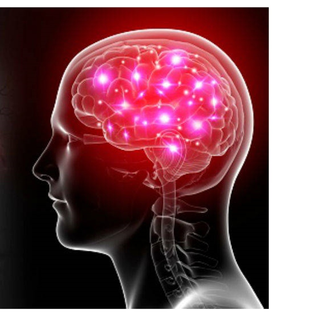 Imprimir Sí o No: Presaberes-Enfoques clásicos de la psicología ()