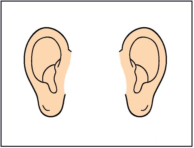 Froggy Jumps: LET’S KNOW ABOUT BODY PARTS