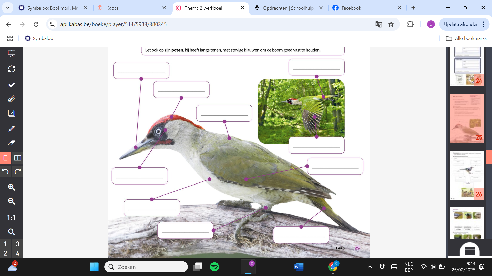 Map Quiz: Sporen in het park - vogel
