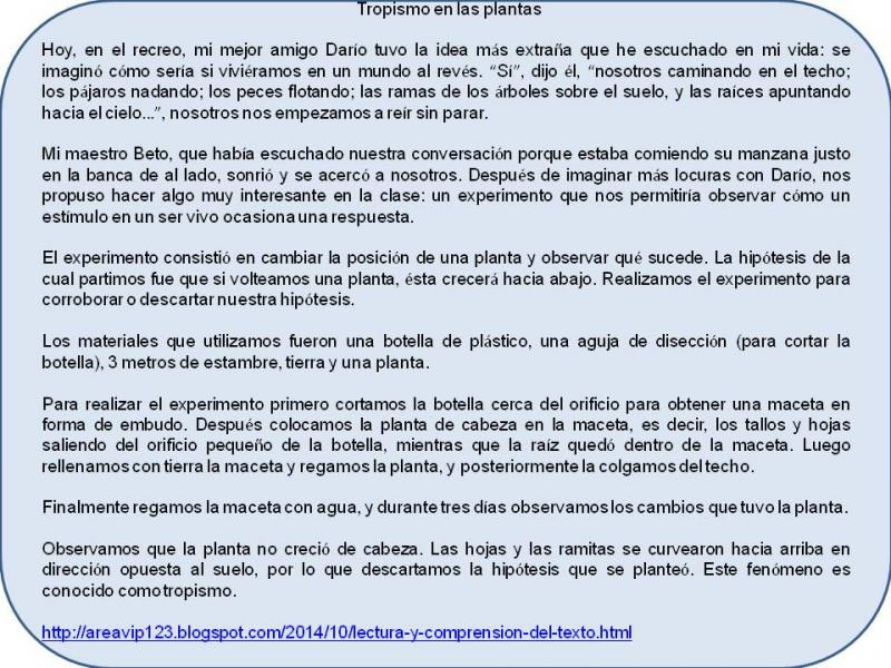 Print Quiz: LECTURA: Tropismo en las plantas (1er grado)
