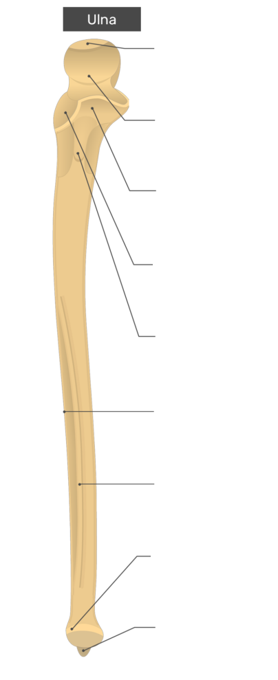 Mapa Interactivo: Cubito