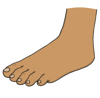 Quiz: External body parts (Second Language - 1º - Educación secundaria ...