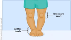 Quiz: KUIS BIOLOGI (biology)