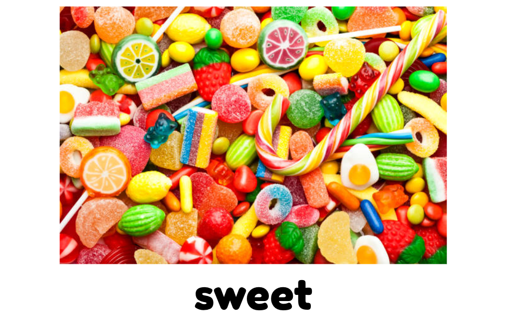 Memory: Vocabulary Snap: Word-Definition Match