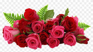 Matching Pairs: Finding pairs of symbols and themes. Esperanza rising ...