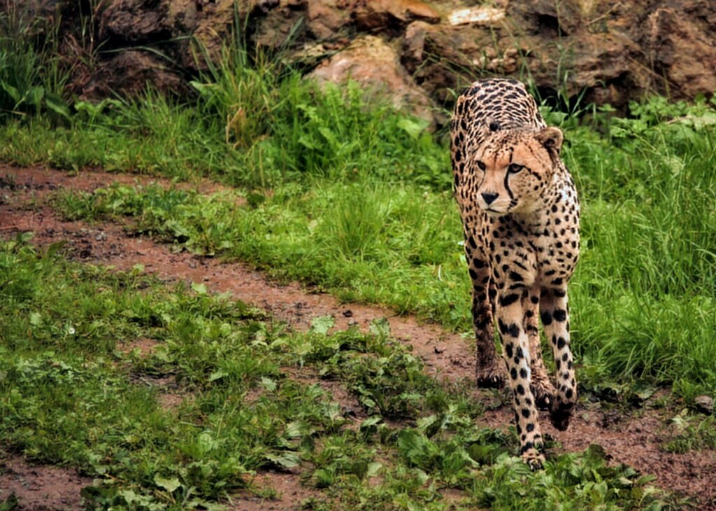 Quiz: ¡Juega con nosotros! (completa la oracion - significado de las ...